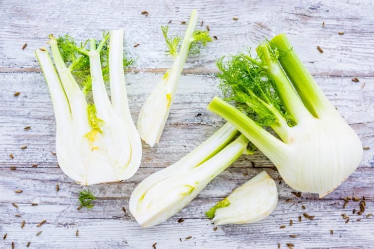 How to Cut Fennel: Step by Step Guide - HDMD Knives Blog
