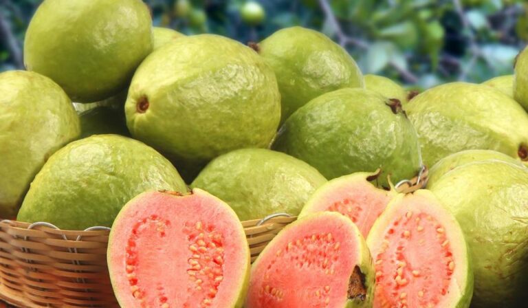 How to Cut and Eat a Guava: Step By Step Guide - HDMD Knives Blog